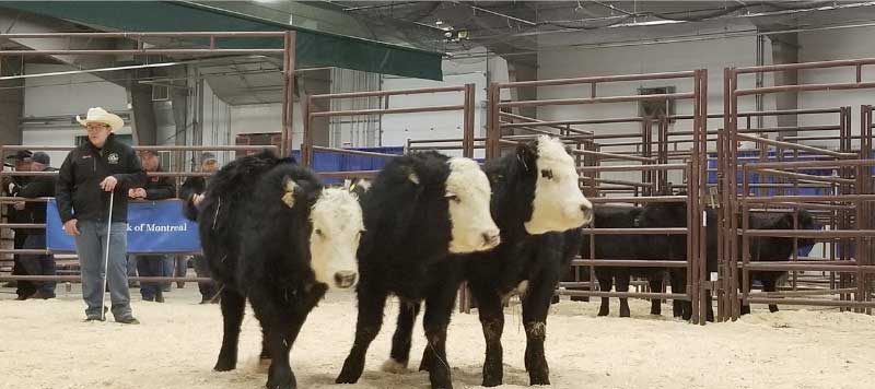 Events – MH Stampede & Exhibition