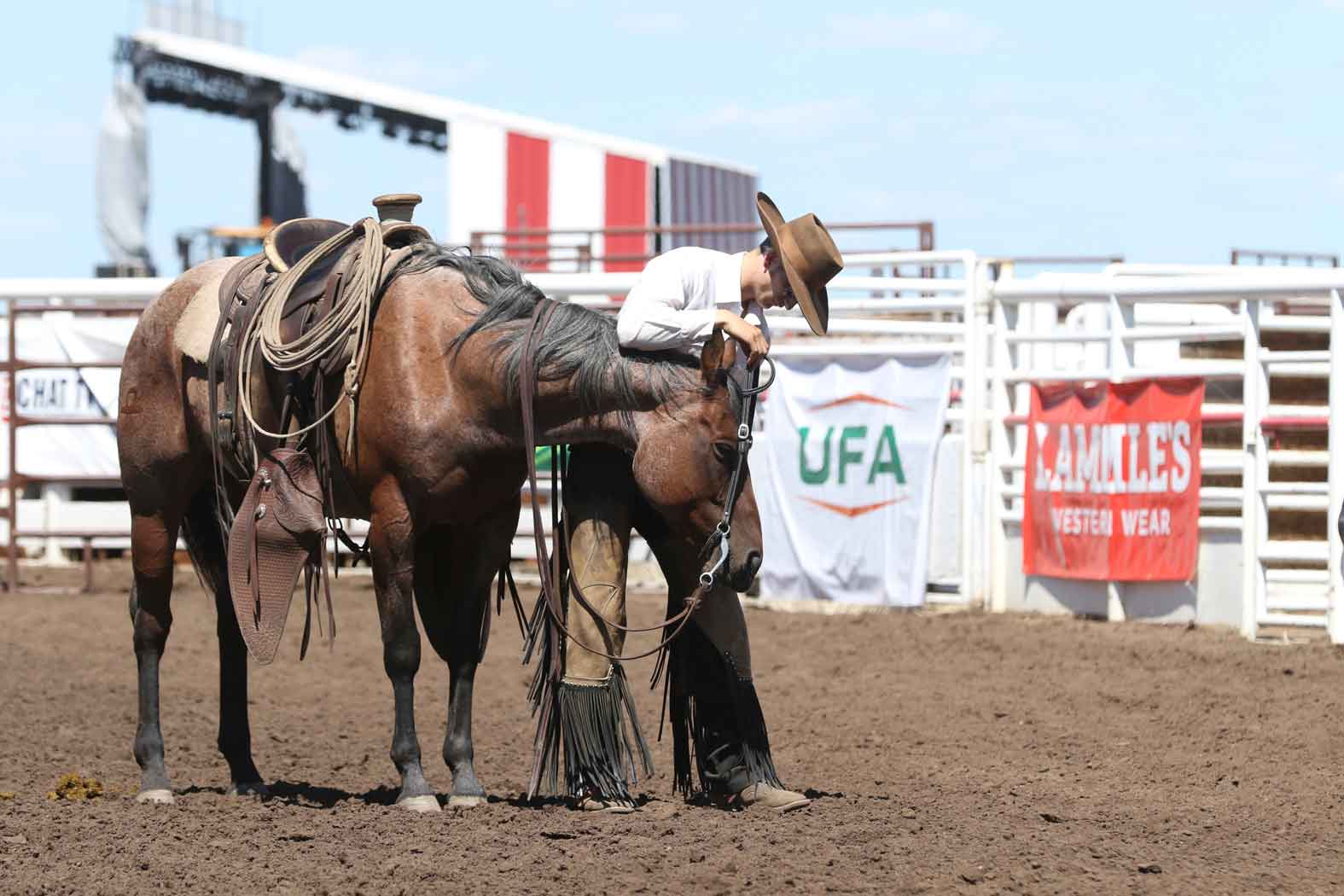 Stampede – MH Stampede & Exhibition