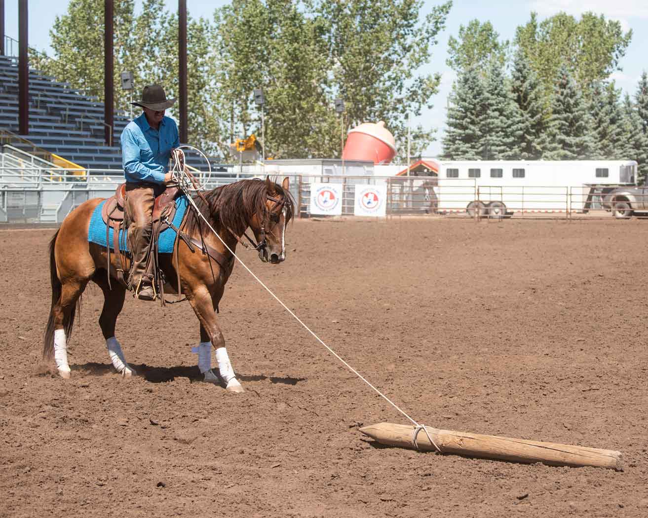 Stampede – MH Stampede & Exhibition